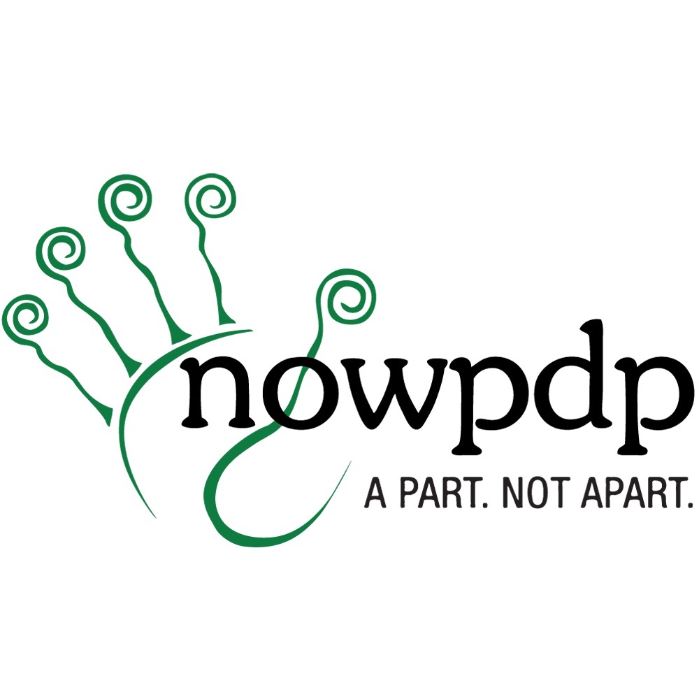 Home | NOWPDP - Leading disability organization in Pakistan